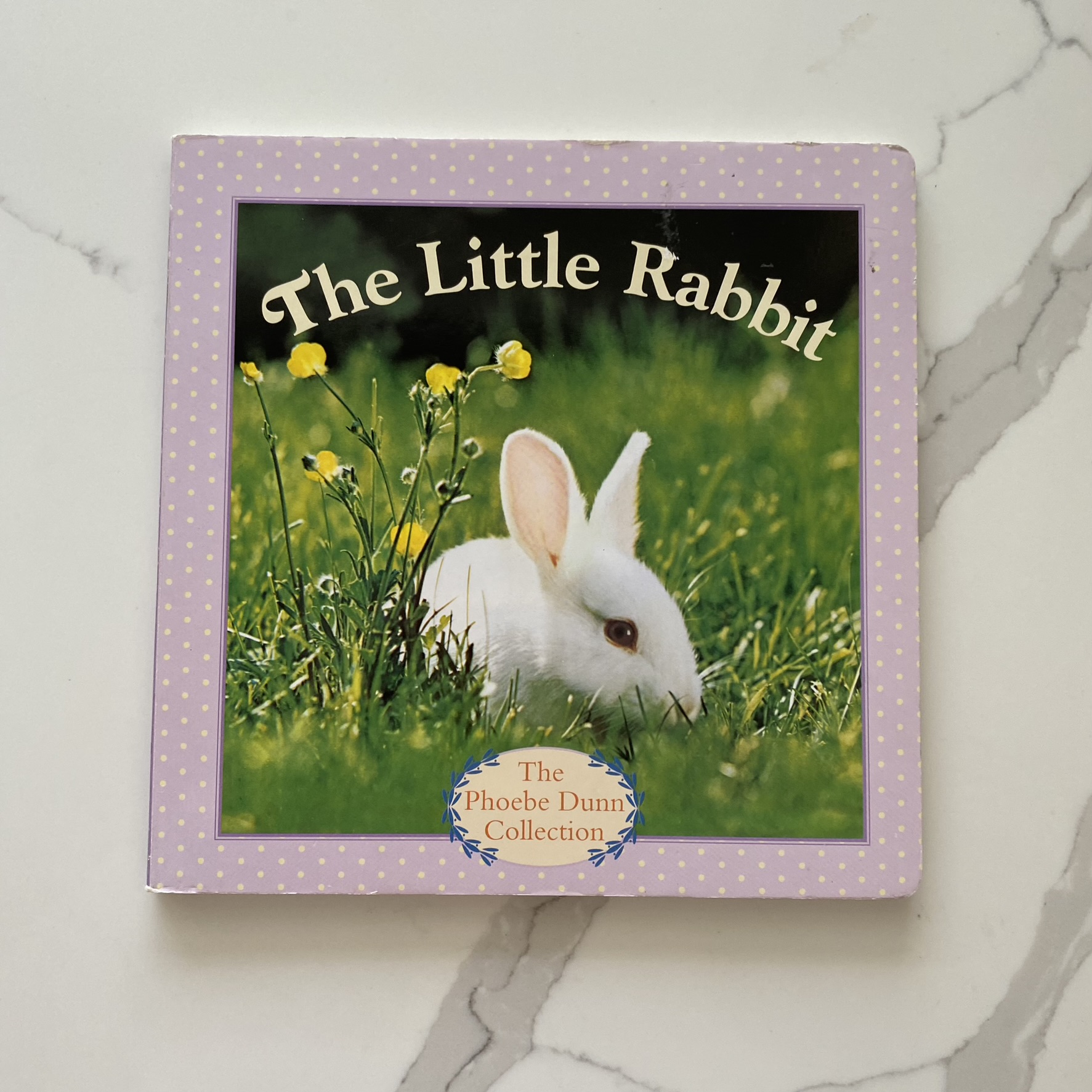 The Little Rabbit – BrookesBookshop